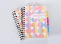 China Colorful Plastic Hard Cover Notebook / Notepad Custom Logo For Business Gift for sale