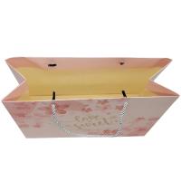 China Pantone Matte Printed Paper Bags Embossing Offset 250gram With Twisted Handles for sale
