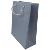 China 250gsm Cardboard Paper Shopping Bags Pantone 4C Offset With Handles for sale