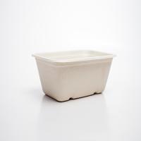 China Customized Wholesale Eco-friendly Packaging Biodegradable Corn Residue Disposable Takeaway Food Box Cover for sale