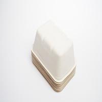 China Customized Wholesale Eco-friendly Packaging Biodegradable Corn Residue Disposable Takeaway Food Box Cover for sale