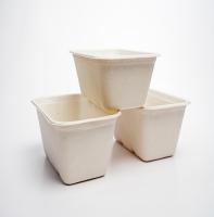 China Customized Wholesale Eco-friendly Packaging Biodegradable Corn Residue Disposable Takeaway Food Box Cover for sale