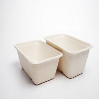 China Customized Wholesale Eco-friendly Packaging Biodegradable Corn Residue Disposable Takeaway Food Box Cover for sale