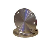 China Manufacturer Corrosion Resistant  High Pressure Large Blind Flange for sale