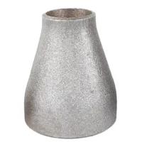 China Titanium Pipe Fittings TA2 Elbow Titanium Alloy Reducer Pipe Fittings for sale