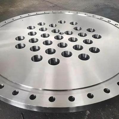 China Chemical Industry Stainless Steel Plate Flanges Fitting 150/300/600/900/1500/2500PSI for sale