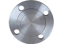 China DIN 2527 25 Bar Stainless Steel 304 Forged Blind Flange 15mm-6000mm for sale
