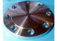 China ANSI Stainless Steel Blind Flange DN15-DN2500 Forged Steel Pipe Flange for sale
