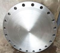 China A350 LF2 Blind Flange Forged Pipe Fittings DN50-DN800 ASME B16.5 Class 300 for sale