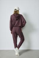 China Burgundy Oversized Sweatshirt Sportswear Half Zip Hooded Loungewear Set Soft Cotton for sale