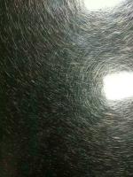 China vibration finish stainless steel sheet, Decorative Stainless Steel Sheets, vibration Sheets aisi304 316 quality for sale