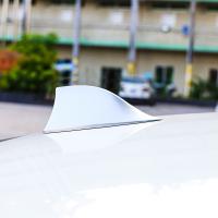 China Custom Wireless Roofmount Car Antenna with LED Light Topper and 50 Ohm Impedance for sale