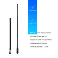 China Universal Car FM AM Antenna High Gain 3-5dBi 88-108MHz 25cm Loop Dipole Radio Antenna for sale