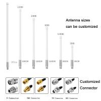 China Yetnorson 12dBi Omni Dual Band Fiberglass Antenna 2.4G 5.8G 868MHz 915MHz LoRa Wifi for sale
