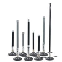 China 5.8 dBi Medium Gain LoRa Outdoor Fiberglass Antenna 868MHz N Connector VSWR ≤1.2 for sale
