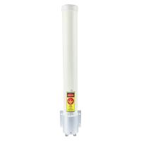 China Outdoor 2.4GHz 5GHz WiFi Antenna 10dBi Gain 650mm Length for Signal Boosting for sale