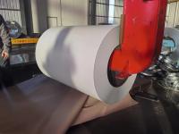China Roofing / Wall Cladding PPGL Steel Galvanized Coil RAL Color for sale