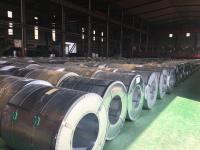 China Corrosion Resistant PPGI Coil Sheet , High Strength Steel Coil for sale