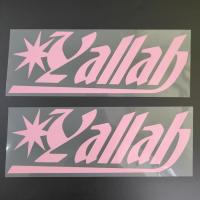 China Waterproof Heat Transfer Custom Logo Printing with Pantone Color Matching - Solid, Metallic & Pastel Options for sale