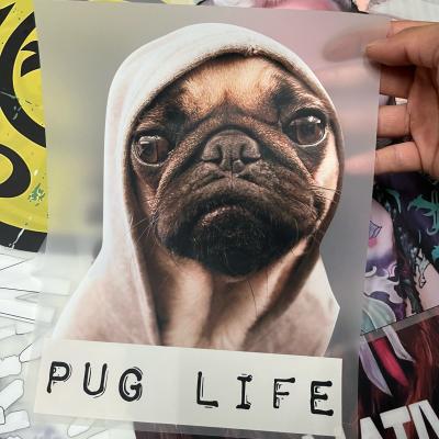 China Custom Pug Life Dog DTF Heat Transfer Stickers Durable PET Film for T-Shirt Branding Customizable Size 150°C Press for sale