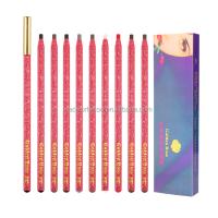 China OEM ODM Long-lasting Waterproof Microblading Eyebrow Pencil Tattoo Tint Cosmetics for Makeup Permanent Makeup Accessories for sale
