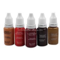 China Private Label Professional Body Beauty Tattoo Pigment Inks Safe Permanent Paints for Microblading and Tattoo Art for sale