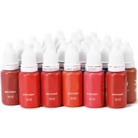 China Private Label Professional Body Beauty Tattoo Pigment Inks Safe Permanent Paints for Microblading and Tattoo Art for sale