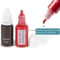 China Private Label Professional Body Beauty Tattoo Pigment Inks Safe Permanent Paints for Microblading and Tattoo Art for sale