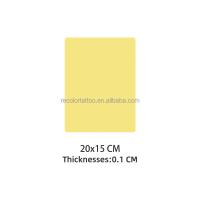 China Private Label 3mm Thick Tattoo Practice Skin 20*15cm & 20*30cm Sizes Permanent Makeup Training Tool for sale