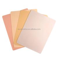 China Private Label 1mm Thick Tattoo Practice Skin 19*14.5 cm Size Permanent Makeup Training Tool for sale
