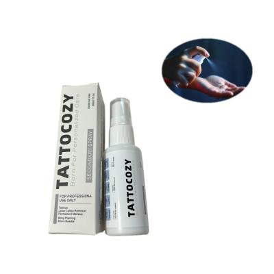 China Private Label 30ml Plastic Permanent Makeup Tattoo Spray Body Art Beauty Concept for sale
