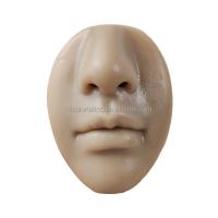 China Silicone Tattoo Model for Practice Human Body Ear Nose Lip Display Piercing Training Permanent Makeup Tool for sale