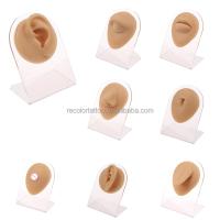 China Ear Nose Lip Navel Tongue Tattoo Silicone Model Tattoo Puncture Practice Simulation Human Body Part Display Piercing Jewelry for sale