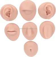 China 8pcs Silicone Facial Features Set Practice Simulated Human Puncture Model for Permanent Makeup Training Teaching Model Eyes Nose for sale