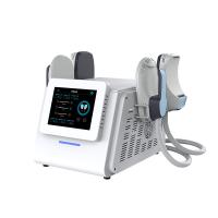 China Body Shape S Shape Cavitation Muscle Building Electrical Machines 10.4in Screen ISO9001 for sale