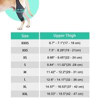 China Anti Tear Dog Hock Protector Anti Vibration Dog Leg Brace For ACL Injury for sale