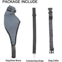 China Anti Tear Dog Hock Protector Anti Vibration Dog Leg Brace For ACL Injury for sale