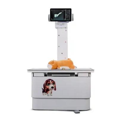 China 20KW Digital X Ray Machine High Frequency Medical 110kV For Veterinary Clinic for sale