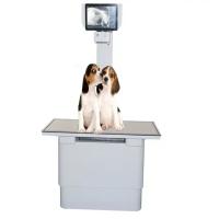 China 32KW Digital Vet DR X-ray Table Small Animal Xray Fluoroscopy Equipment Fixed Veterinary Dog X Ray Machine for sale