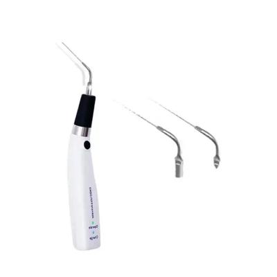 China Dental Cordless Ultrasonic Activator Equipment  Sonic Irrigator Endo Activator for sale