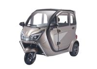 China ABS Door Enclosed Electric Trike Automatic Window With 65 Km Driving Range for sale