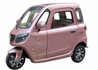China 3 Wheels Central Lock Enclosed Electric Tricycle for sale