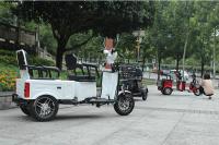 China 20Ah Lead Acid Battery 800W Three Wheel Electric Scooter for sale