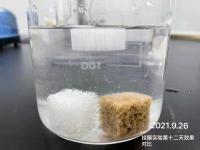 China Rapid Biofilm Water Treatment Testing Gel Bio Carrier For Industrial Municipal MBBR for sale