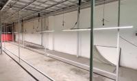 China Farming Plant Grow Light System Plant Nurseries Greenhouses Grow Lights For Indoor Plants for sale