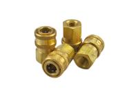 China Corrosion Resistance Threaded Quick Release Air Coupler 1/4 Inch CB-S2S-1FN-B for sale