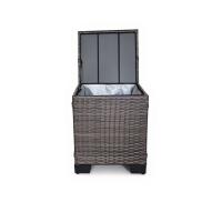 China Ice Cooler Storage Box for sale