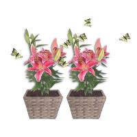 China Metal Frame PE Wicker Plastic Pots Artificial Woven Home Garden Plant Pots for sale