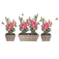 China Factory Hot Sale Metal Frame Set of 3 Plastic Pots Home Garden Planter Stand for sale