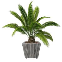 China Handmade Square Shape Metal Frame Wicker Flower Pot with Plastic Original Green OEM Customized Style for sale